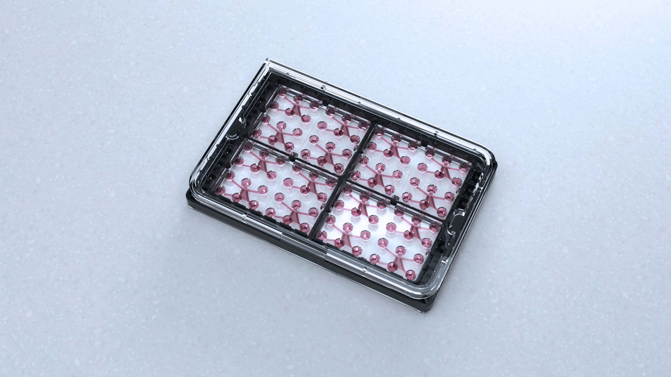 DUALINK DELTA ULTRA - Netri