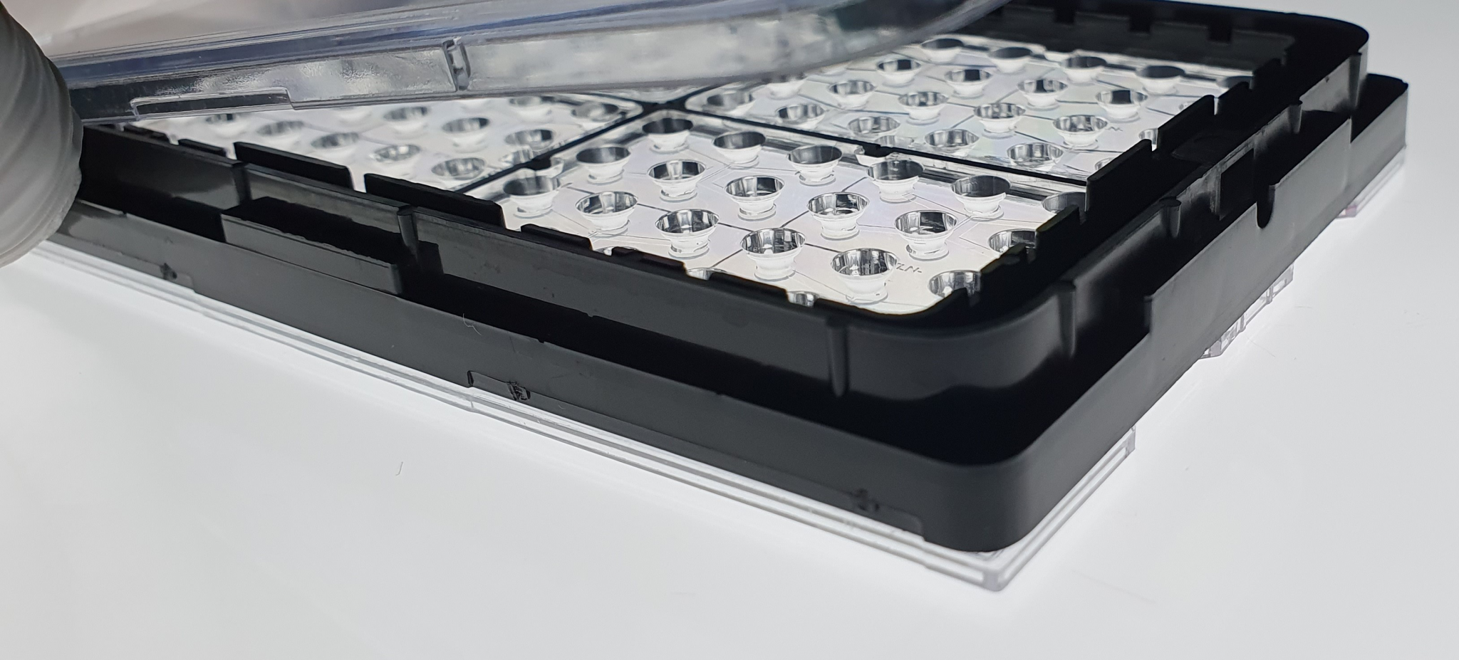 Neurotoxicology - NETRI