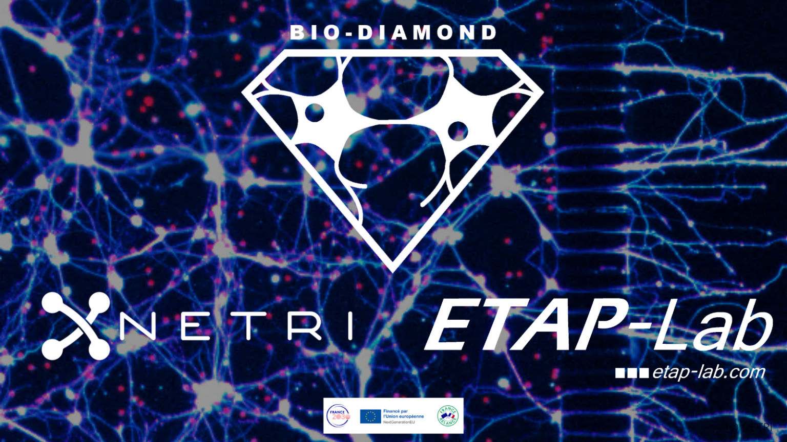 BioDiamond - NETRI