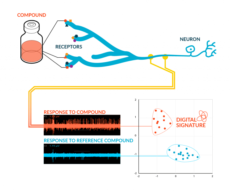 Innervate.Screen.Predict. - NETRI