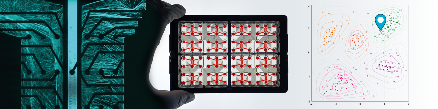 NETRI INAUGURE LA PREMIERE USINE FRANCAISE D’ORGANES-SUR-PUCE ET ...