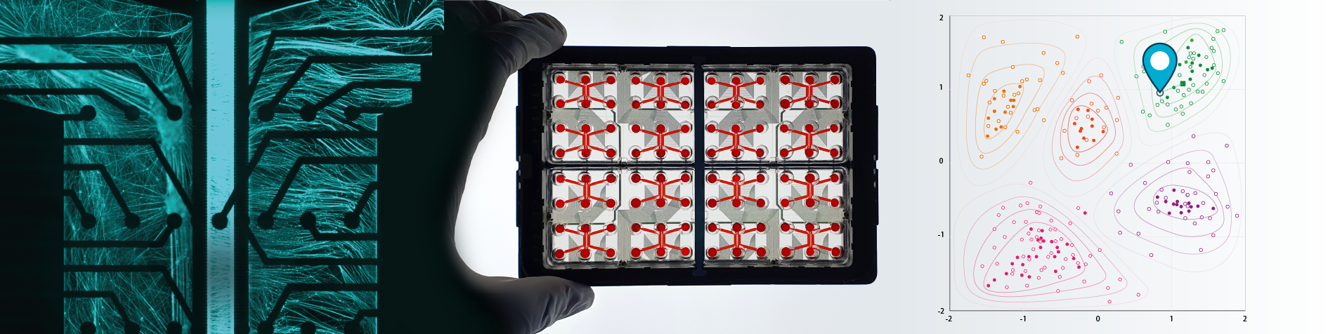NETRI INAUGURATES FRANCE’S FIRST ORGANS-ON-CHIP PLANT AND ANNOUNCES ...
